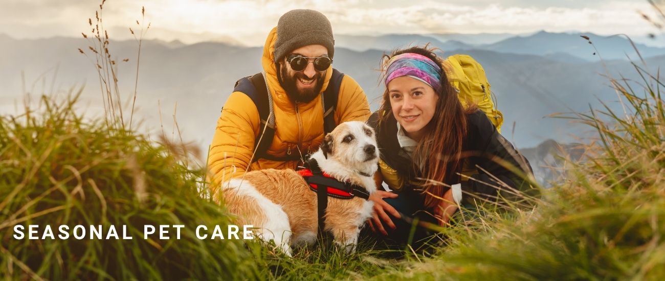 Seasonal Pet Care in Australia: Health Risks & Solutions for Every Season