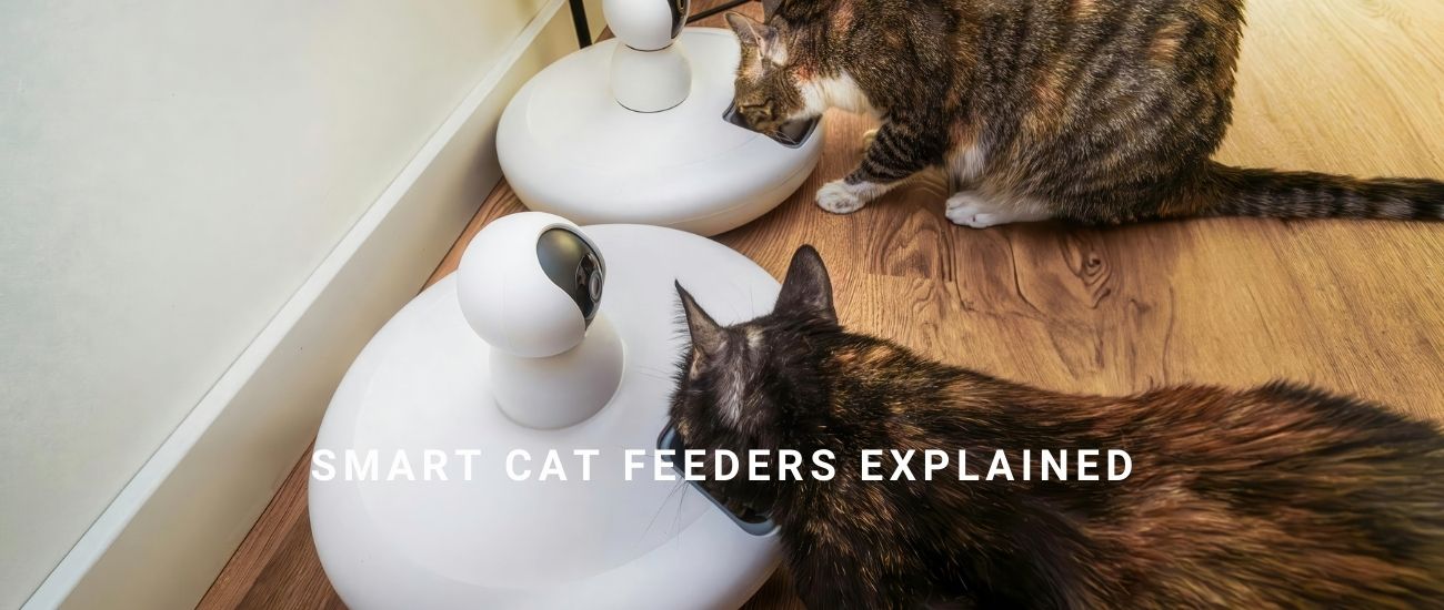 Smart Cat Feeders Explained: Portion Control, Apps & Key Features