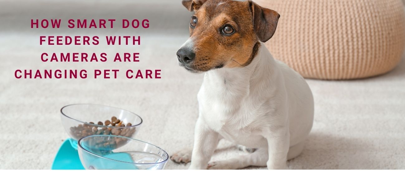 Smart Dog Feeders With Cameras: How They’re Transforming Pet Care